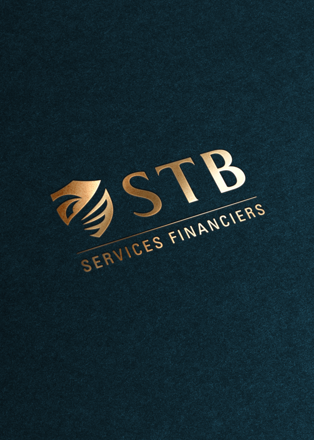 STB · Services financiers Logo Image de marque Design graphique
